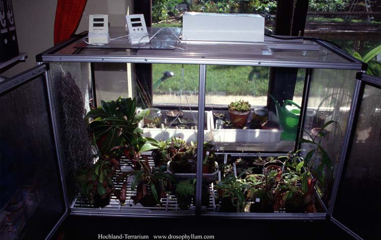 Heliamphora! | TerraForums Venus Flytrap, Nepenthes, Drosera and more talk